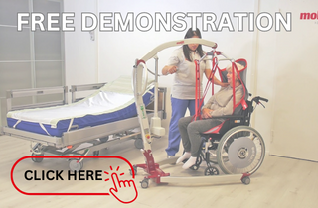 Molift Hoists and Parts